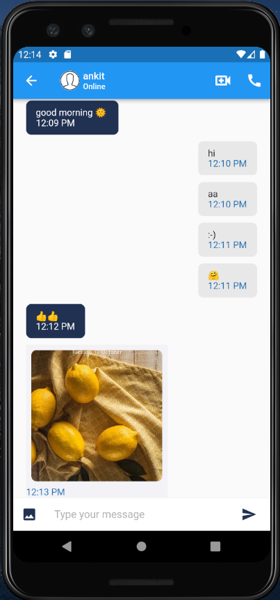 Flutter Chat App With Firebase Firestore Database by elsnertechnologies